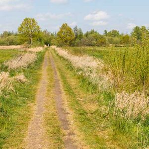 Bauland in Schleswig-Holstein